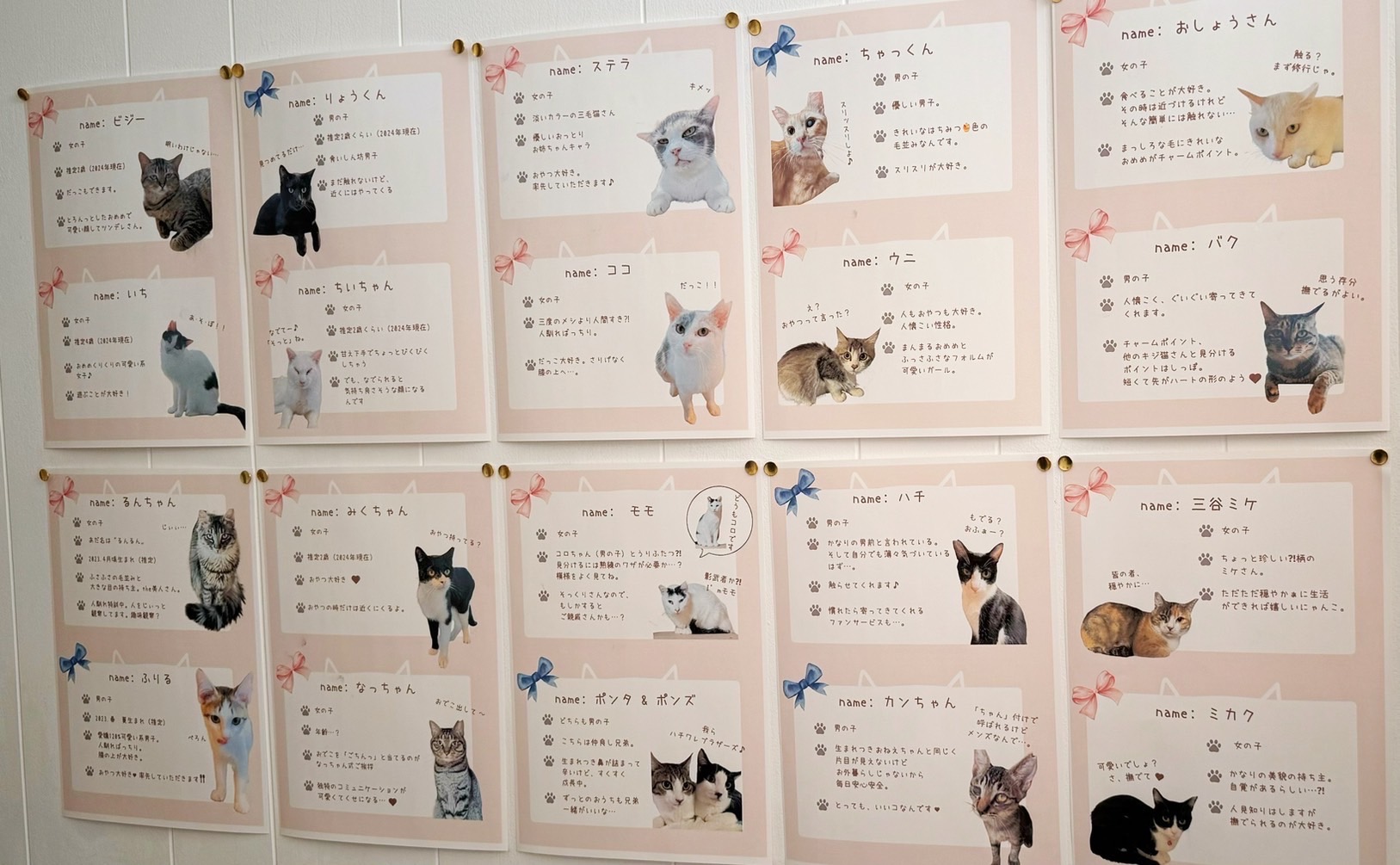 シェルターギャラリー | Equal Life