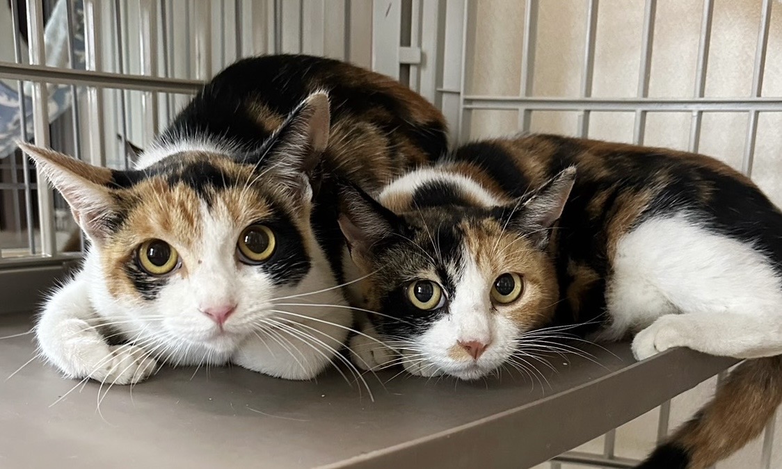 シェルターギャラリー | Equal Life