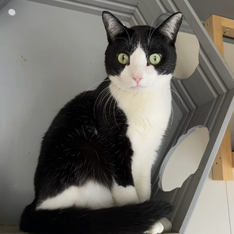 Equal Life | 「命の重さ」は同じだから