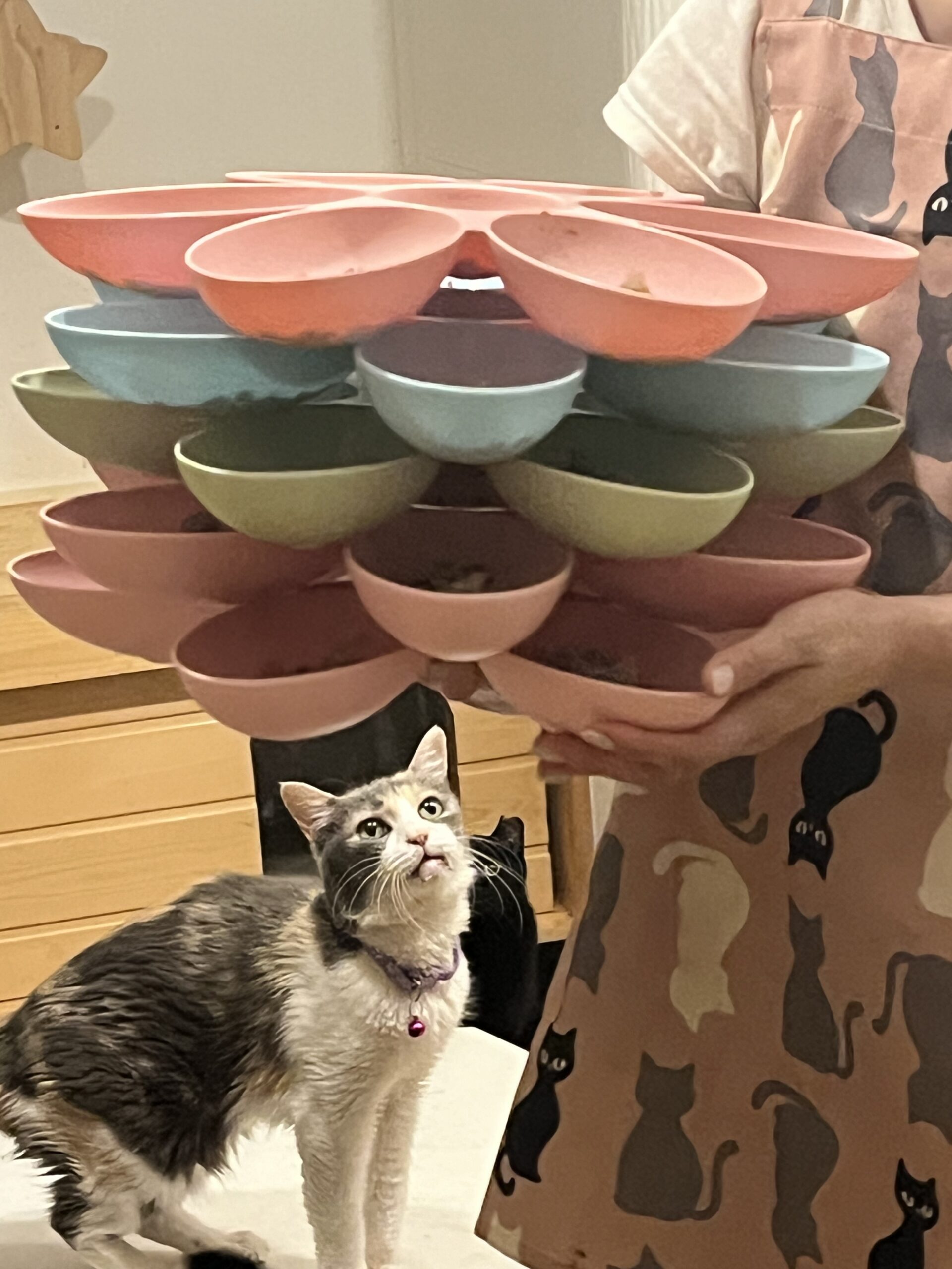 シェルターギャラリー | Equal Life