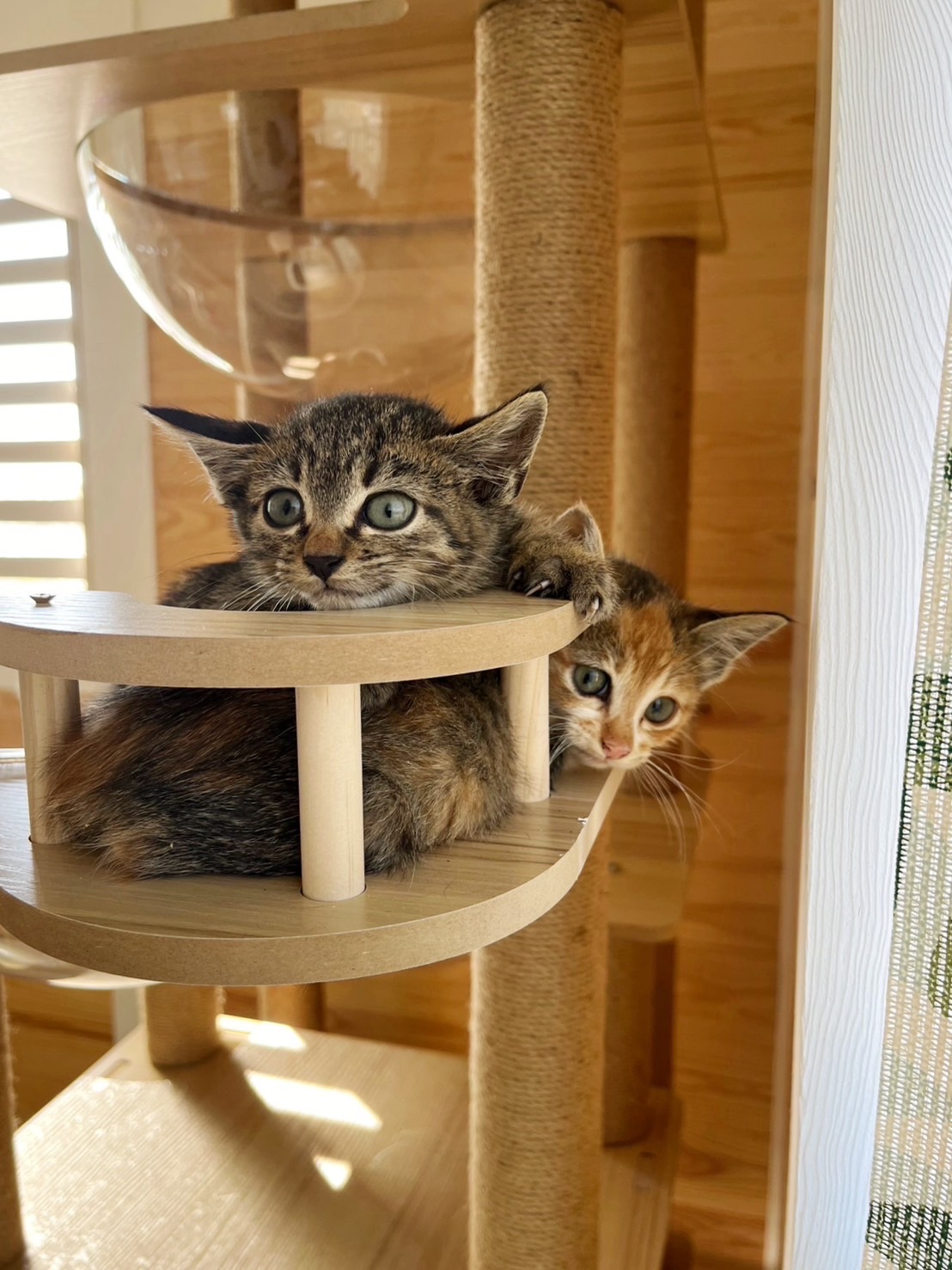 シェルターギャラリー | Equal Life