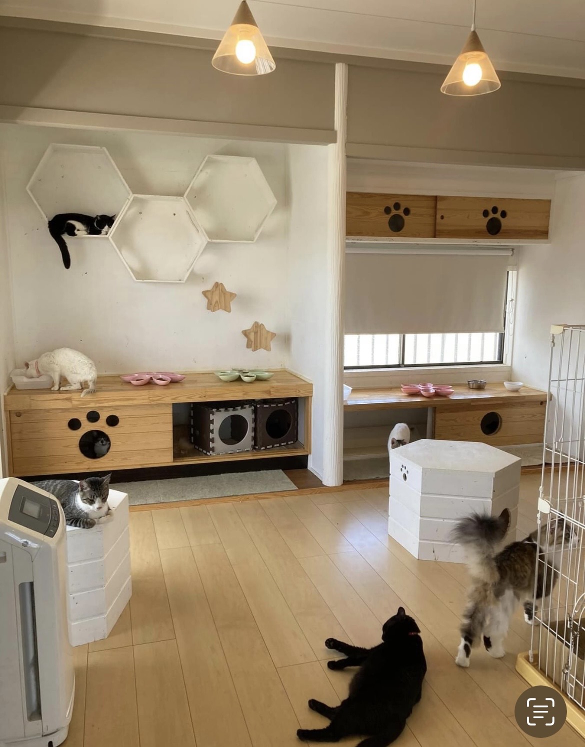 シェルターギャラリー | Equal Life