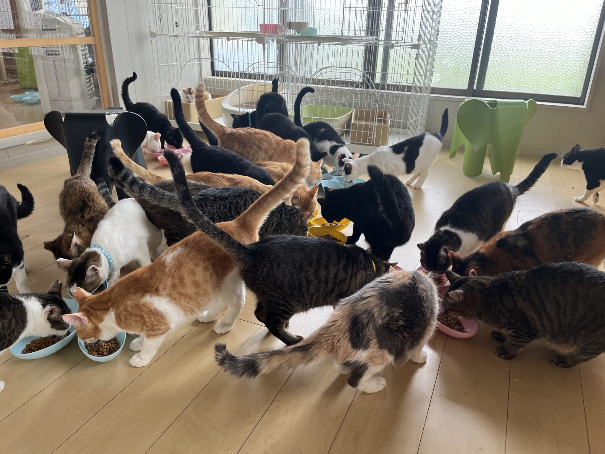 Equal Life | 「命の重さ」は同じだから