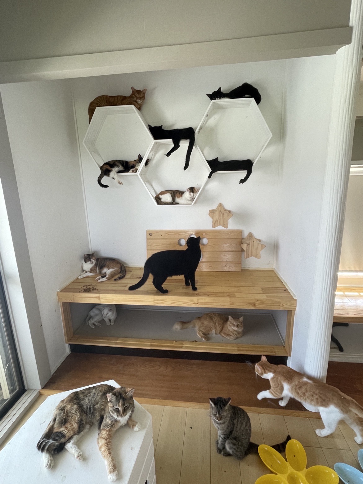 シェルターギャラリー | Equal Life