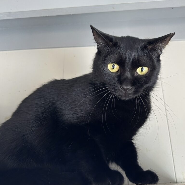 Equal Life | 「命の重さ」は同じだから